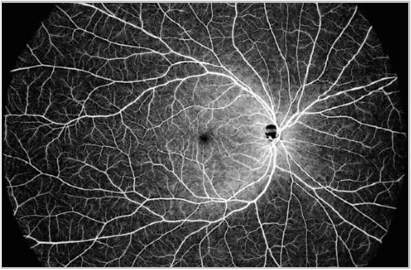 More Industry News & Trends | Market Scope